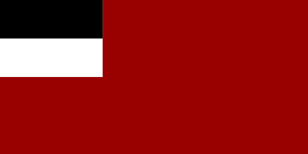 Vlag van Georgië: geschiedenis en betekenis - Maestrovirtuale.com