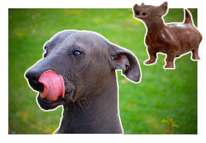 De onde vem a palavra Escuincle? - Maestrovirtuale.com