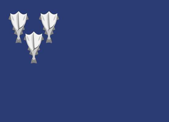 Islandsk flag: Historie og betydning - Maestrovirtuale.com