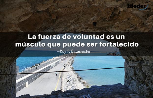 As 100 melhores frases de força de vontade - Maestrovirtuale.com