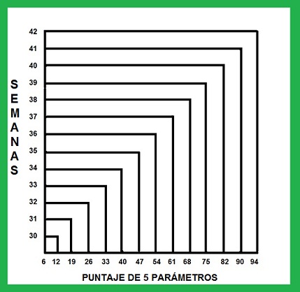 Prueba de Capurro: base, tipos, parámetros, cálculos, sensibilidad ...
