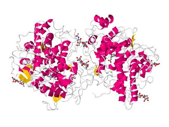 Ácido hipobromoso: características, estrutura, usos - Maestrovirtuale.com