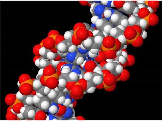 Ácido hipobromoso: características, estrutura, usos - Maestrovirtuale.com