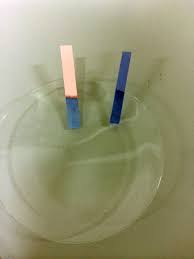 Lakmoespapier: oorsprong, functies, blauw en rood - Maestrovirtuale.com