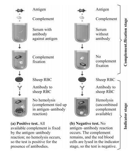 ¿Qué es el suero sanguíneo? Maestrovirtuale.com