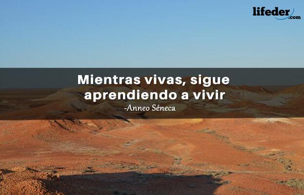 As 100 melhores frases de Seneca - Maestrovirtuale.com