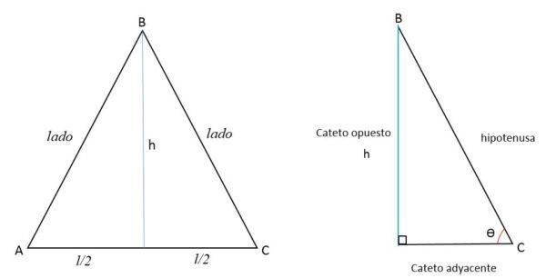 Triângulo Equilateral: características, propriedades, fórmulas, área ...