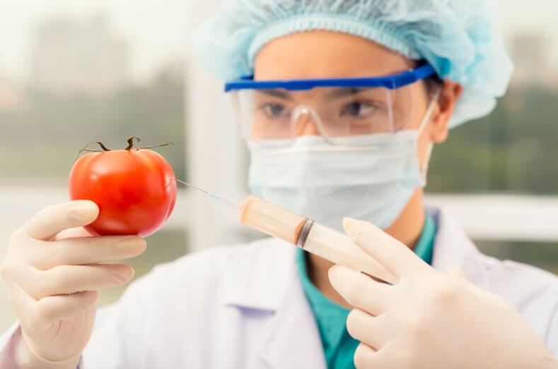 Alimentos OGM: características, vantagens, exemplos, consequências ...