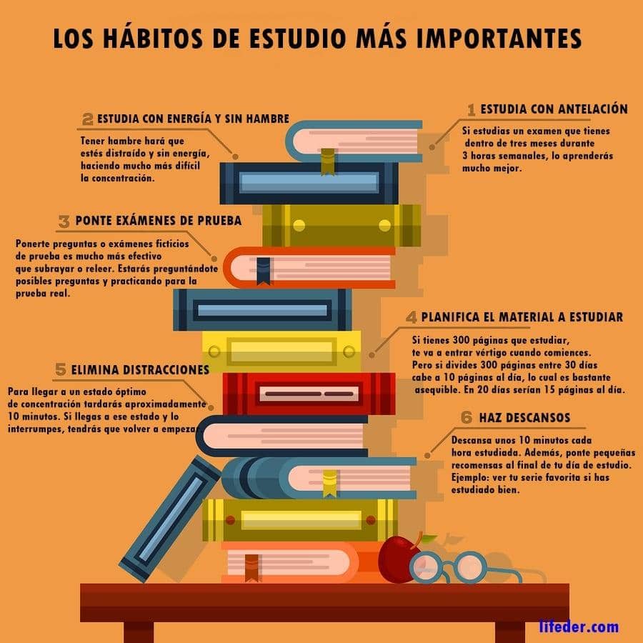 15 hábitos de estudo essenciais para bons alunos - Maestrovirtuale.com