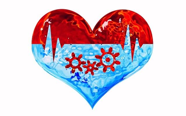 Automatismo cardíaco: anatomia, como é produzido - Maestrovirtuale.com