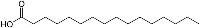 Saturated fatty acids: characteristics, structure, functions, examples ...