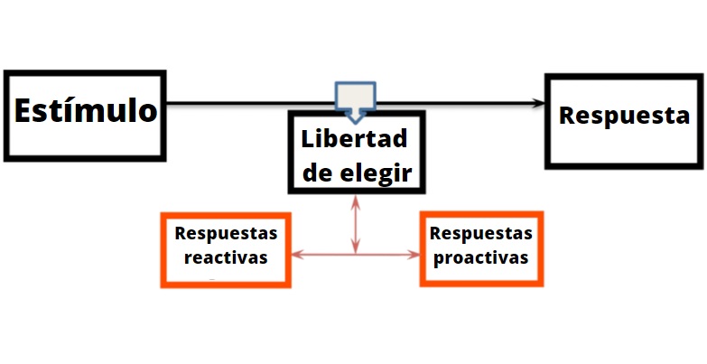 Estímulo - resposta (teoria) - Maestrovirtuale.com