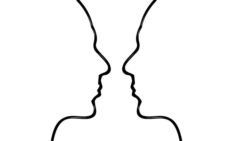 Dichotomy: origin, meanings and examples of use - Maestrovirtuale.com