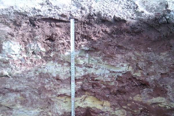 Litossol: características e usos - Maestrovirtuale.com