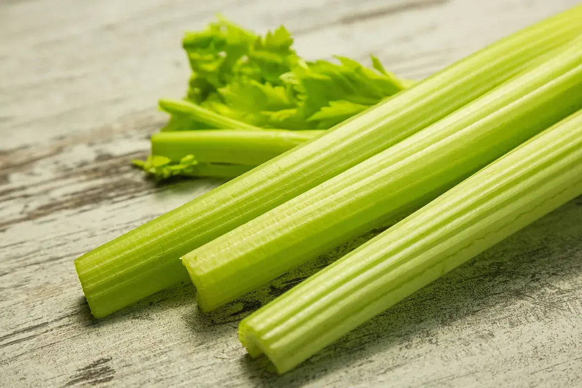 I-Celery: Izakhiwo, Izinzuzo, kanye Nezingqinamba Eziphelele